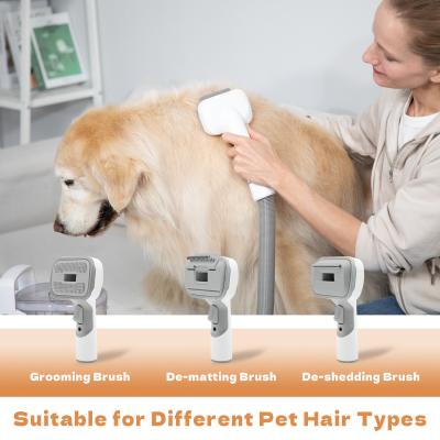 Cina 2.2KG Kit per la cura degli animali da compagnia Aspirapolvere per cani Gatti Clipper Lame Accessori Set in vendita