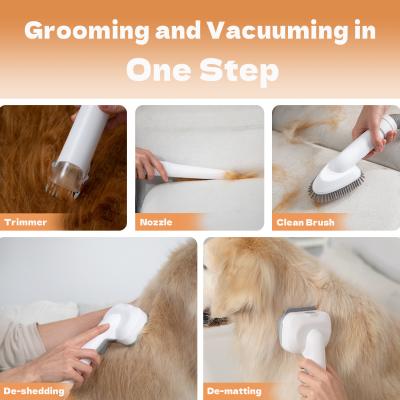 Cina 2.2KG Kit per la cura degli animali da compagnia Aspirapolvere per cani Gatti Clipper Lame Accessori Set in vendita