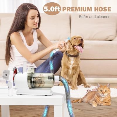 Cina 65dB Noise Pet Grooming Kit con asciugatrice elettrica per capelli per animali da compagnia a 110-220V in vendita