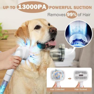 Cina Kit di pulizia per cani, spazzola per animali domestici, aspirapolvere con 10KPa, dimensioni del pacchetto 315*275*335mm in vendita