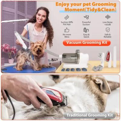 Cina Aspirapolvere elettrico per la pulizia dei capelli per i cani e per i gatti in vendita