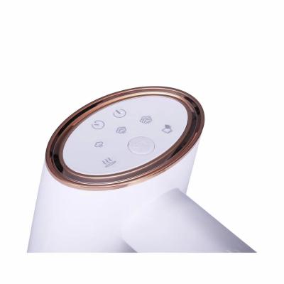 Cina Vapore elettrico multifunzionale con accessori per spazzole per capelli in vendita