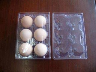 China Bespoke Plastic Egg Tray from Shanghai YiYou for sale