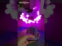 FCC de 16 luzes da bola da mudança da cor do FCC do RGB com os grânulos da lâmpada 50pcs