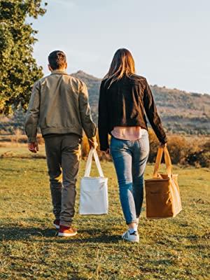 insulated reusable grocery bag