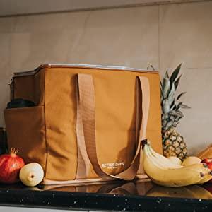 Insulated Reusable Grocery Bag