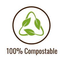 bagasse plates