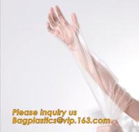 China Biodegradable Compostable Disposable Gloves PLA Material 0.02-0.1mm Thickness Custom Size for sale