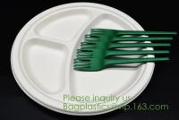 China 100% Biodegradable Sugarcane Bagasse Plates 10 Inch Compostable Disposable Dinnerware for sale