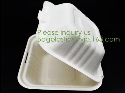 China Biodegradable, Sugar Cane, Sugarcane Bamboo Pulp, Bento Box, Bagasse Food Container, Take Out Box, Plates & Bowls for sale