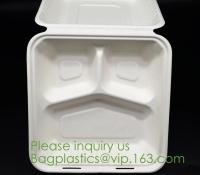 China 100% Biodegradable Sugarcane Bagasse Plates 10 Inch Compostable Disposable Dinnerware for sale