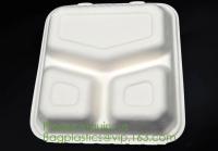 China 100% Biodegradable Sugarcane Bagasse Plates 10 Inch Compostable Disposable Dinnerware for sale