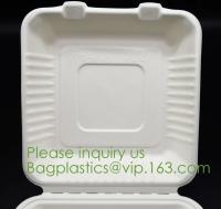 China 100% Biodegradable Sugarcane Bagasse Plates 10 Inch Compostable Disposable Dinnerware for sale