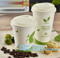 China Customizable PLA Lined Biodegradable Paper Cups 8oz 12oz for Hot Cold Beverages Eco Friendly Compostable for sale