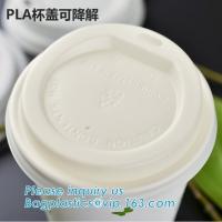 China Customizable PLA Lined Biodegradable Paper Cups 8oz 12oz for Hot Cold Beverages Eco Friendly Compostable for sale