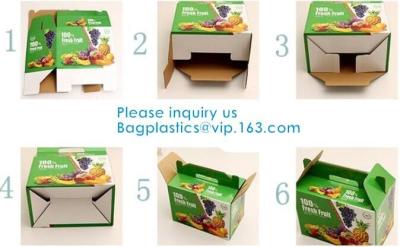China Corrugated Fruit Packing Box, Gloss Lamination, Offset Printing, Foldable Box, Flower Cone, Flowral Packaging for sale