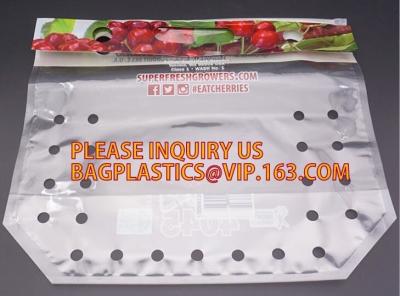 China Eco Vriendschappelijke, Resealable Vruchten Groente, Voedsel Verpakking, van de de Nootpolyester van het Folie Biologisch afbreekbare Gedroogd fruit de Filmzak Te koop