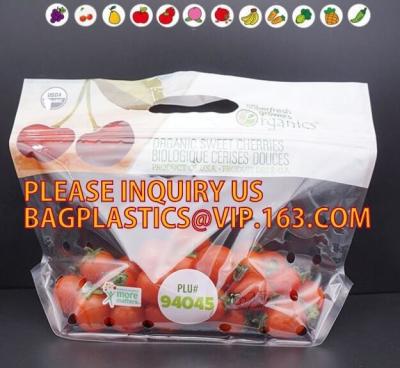 China Eco Vriendschappelijke, Resealable Vruchten Groente, Voedsel Verpakking, van de de Nootpolyester van het Folie Biologisch afbreekbare Gedroogd fruit de Filmzak Te koop