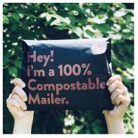 China 100% Compostable PLA PBAT Poly Mailer 10x13 Inch Plant Based Biodegradable Shipping Bag for sale