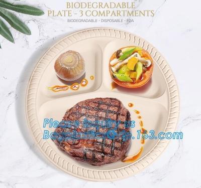 China Caixa Eco-amigável de abastecimento da refeição do almoço do amido do compartimento do recipiente, empacotamento afastado descartável, para viagem à venda