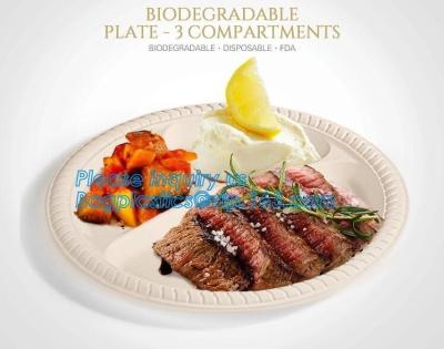 China Caixa Eco-amigável de abastecimento da refeição do almoço do amido do compartimento do recipiente, empacotamento afastado descartável, para viagem à venda