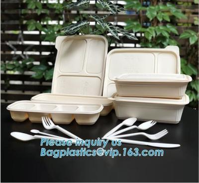 China Leve embora o fast food, caixa de embalagem do compartimento, recipientes, amido biodegradável, caixa ambiental da refeição do almoço à venda