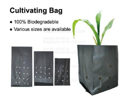 Planter Bags, Grow Bags, Cultivating Bags, Nursery Pot, Greenhouse, Agricultural Film,  Horticulture Garden