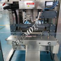 China YD-420 Automatic VFFS Packing Machine , Vertical Continuous Motion Sachet Machine for sale