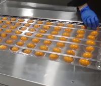 China Thermoforming Vacuum Packaging Machine PLC Or HMI Control Vacuum Seal Packaging Machine for sale