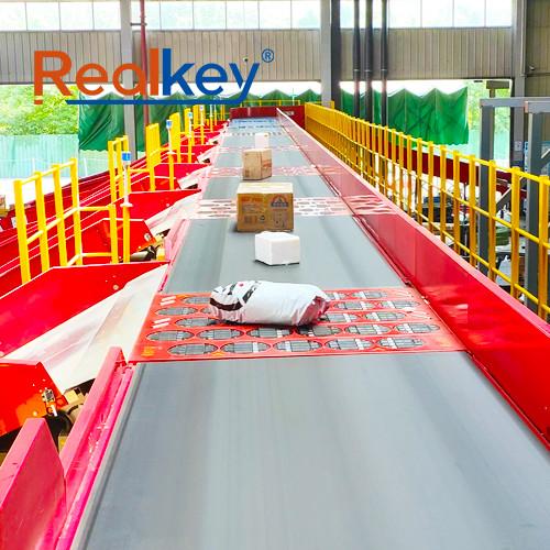 Quality Customizable Swivel Wheel Sorter 6000p/H Advanced Innovative Machine For Plant for sale