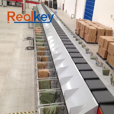 Cina Realkey Cross Belt Sorter ottimizzato per il commercio elettronico progettato per ridurre i costi di lavoro in vendita
