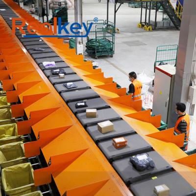 Cina Sistema di classificazione della cintura a croce lineare multi-direzionale per l'industria espressa in vendita