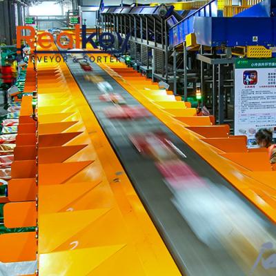 China Linear Cross Belt Sorting Line Robust Versatile With Low Energy Comsumption for sale