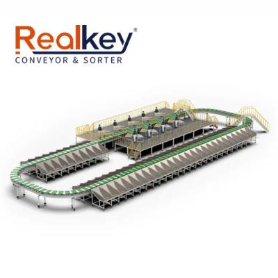 China Reliable High Capacity Automatic Conveyor System Conveyor Belt Sorting System for sale