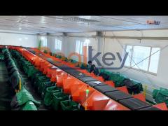 Large Strip Belt Sorter Hig Precision E Commerce With Advanced Vision Technology