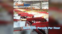 High Speed Swivel Wheel Sorter for Warehouse Automation