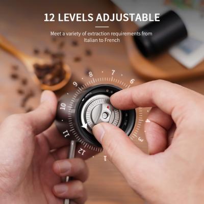 Cina Acciaio manuale portatile regolabile Burr Grinder di Aluminum Alloy Stainless del macinacaffè in vendita