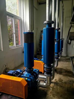 China RH10032 rotary blower for waste water aeration for sale