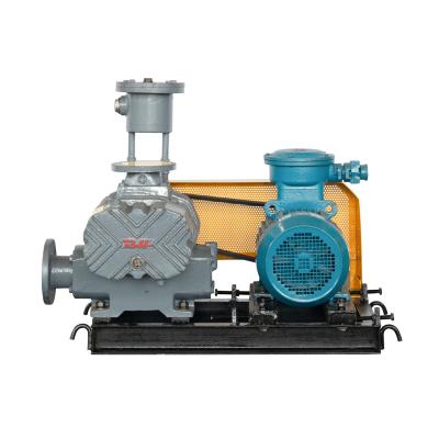 China rotary blower three lobed for water treatment industry aeration RH06521 for sale