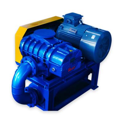 China three lobe roots type rotary blower for waste water filter backlash for sale