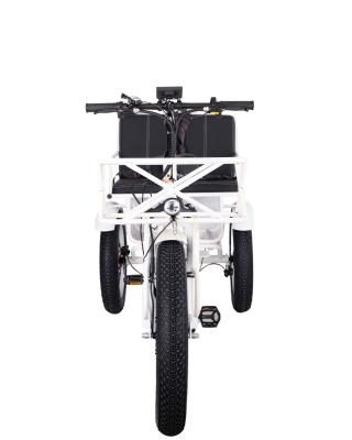 China 750W Front Wheels Electric Rickshaw Trike with 21AH Lithium Battery and 7 Speed Gears for sale