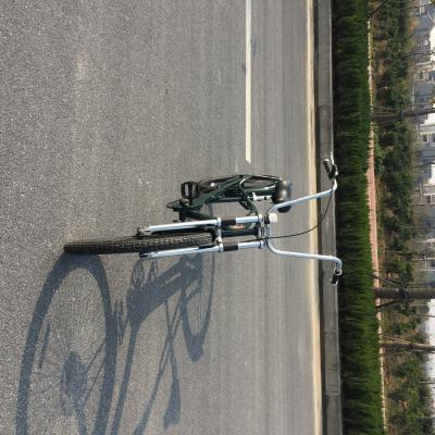 Cina 26' USA Man Special Frame Chopper Beach Cruiser Bike con certificato CE ISO9001 in vendita