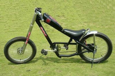 Cina 24