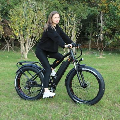 China 48V 1000W 17AH Lithium Battery OEM EN15194 CE Customized Electric MTB Mountain Fat Tire Bike for sale