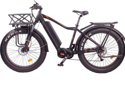 중국 1000W 8 fun bafang 중동 모터 서스펜션 지방 타이어 26*4.0 