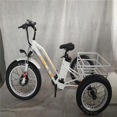 China 750W elektrische fiets 3 wielen volwassen vetband E trike vrachtkoppel 70-80 Nm schijfremmen Te koop