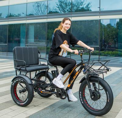 Cina Tubo in basso 48V 750W 17AH Batteria al litio 45KM/h bafang Motor anteriore triciclo elettrico passeggeri in vendita