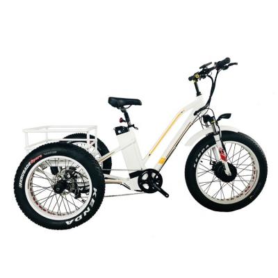 China 48V 14AH Rear Basket 4.0 Snow Tire Electric Cargo Tricycle with USA CE Certification for sale