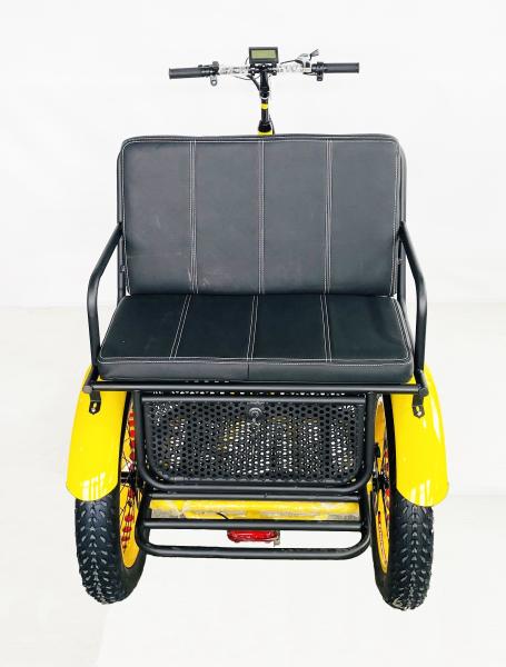 Quality US Fat Tire Electric Passenger Tricycle with 1000W Bafang Motor and Aluminum for sale