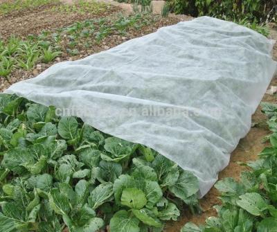 China pp nonwoven fabric / 1-4% UV film polypropylene roll fabric /Polypropylene spunbond nonwoven fabric for agriculture cove for sale